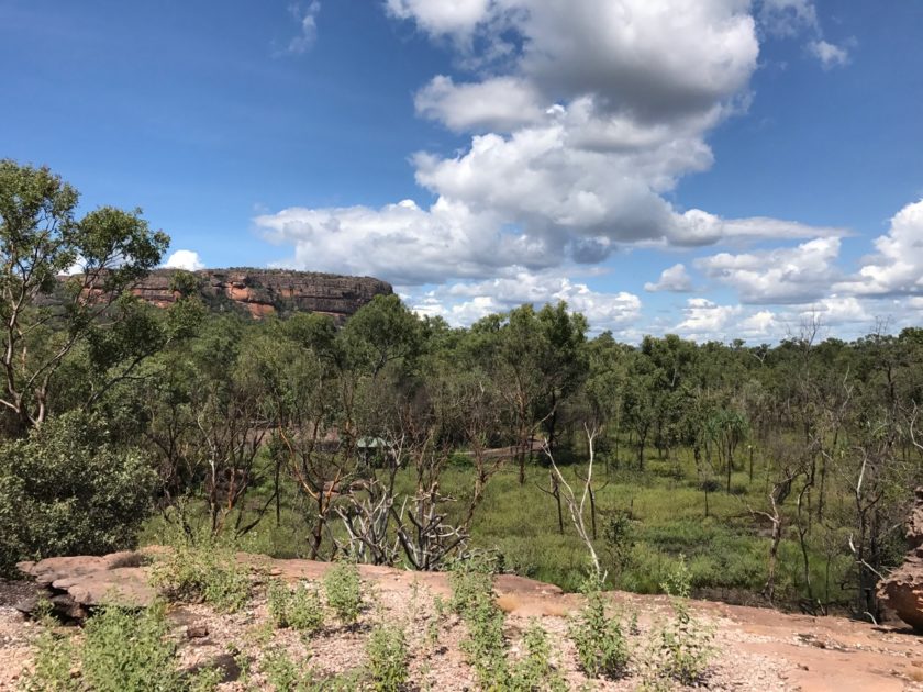 Die Sommerfeuchten Tropen - Geographie