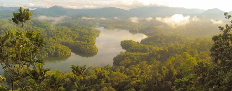 Die Immerfeuchten Tropen - Geographie