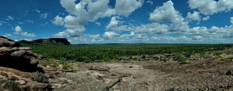 Die Sommerfeuchten Tropen - Geographie