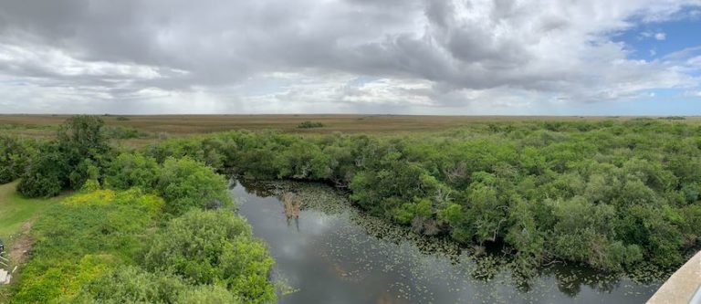 Die Immerfeuchten Subtropen - Quiz - Geographie